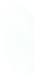 Ether Gulf – Cyber Security – Digital Security Solution